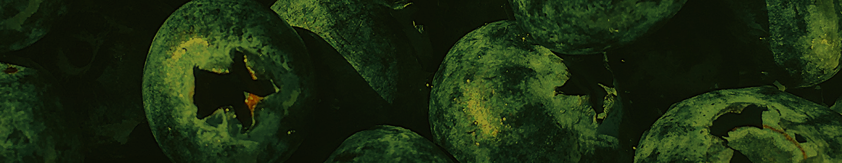 Fresh Produce - Oomiak - Refrigeration Specialists